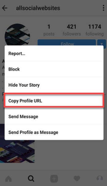 دانلود عکس پروفایل اینستاگرام با کیفیت بالا - گاسی وب